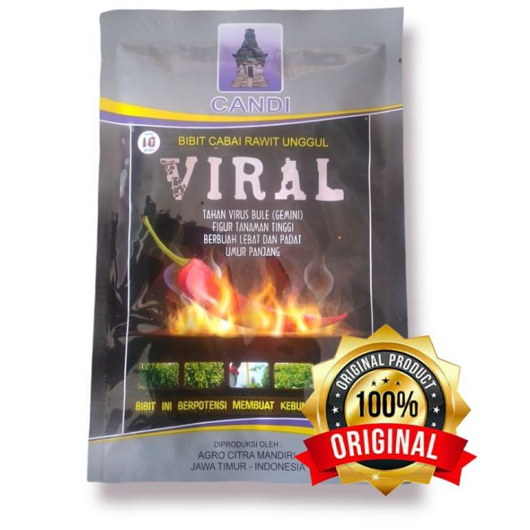 Jual TREND Benih Cabe Viral cabai viral 10 Gr ( jaminan asli ) ★ 891 ...