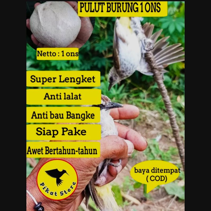 Jual pulut burung, lem burung, jebakan burung, pikat burung, isi 200cc ...