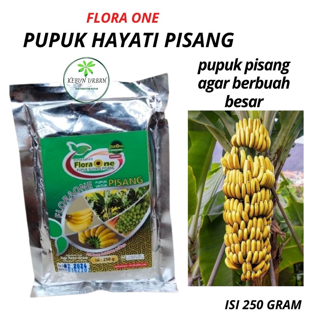 Jual Pupuk Pisang Agar Berbuah Lebat Reliq Booster Pisang, Pupuk Untuk Pisang Tanduk | Shopee ...