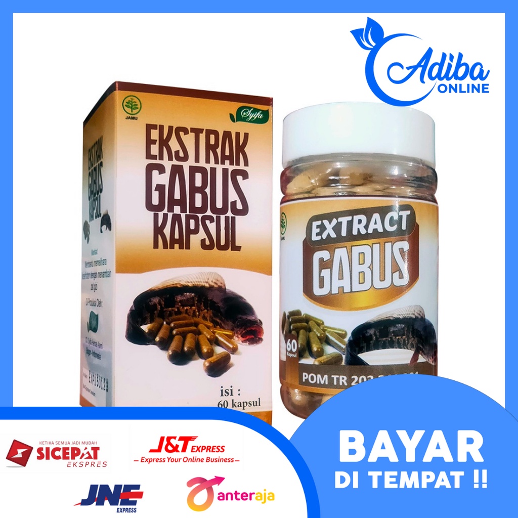Jual Ekstrak Ikan Gabus Kapsul Ekstrak Ikan Gabus Meningkatkan Daya ...