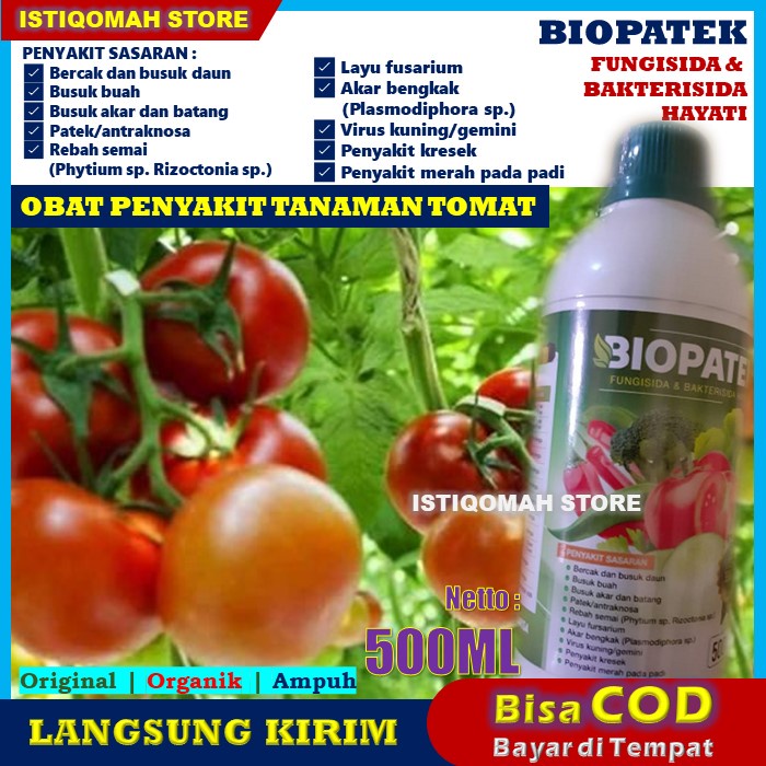 Jual BIOPATEK 500ML Fungisida Hayati Obat Semprot Penyakit Busuk Buah ...