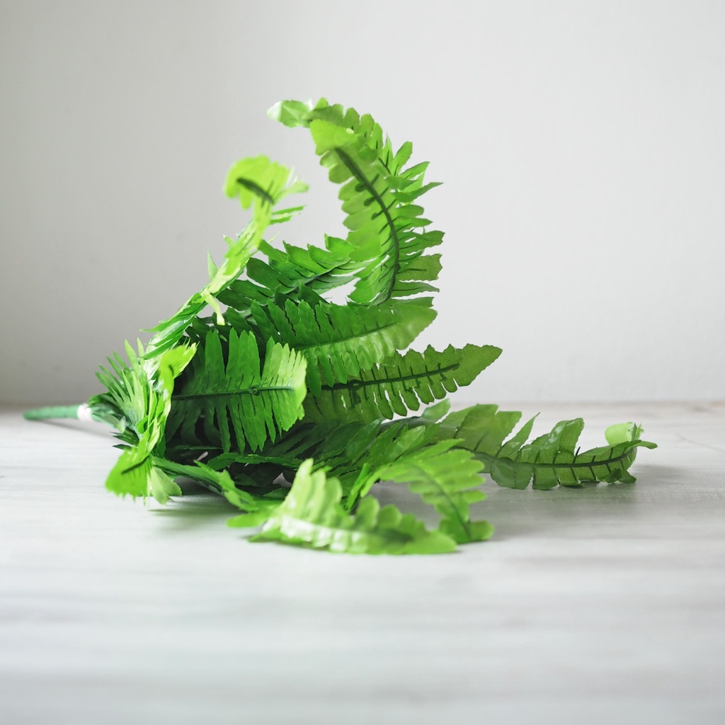 Jual Daun Artificial Pakis Kain Sedang Hijau Muda (D19036) | Shopee ...
