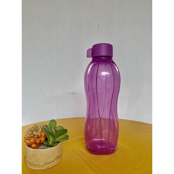 Jual eco bottle ungu 750ml tempat minum anak harga satuan tpware ...