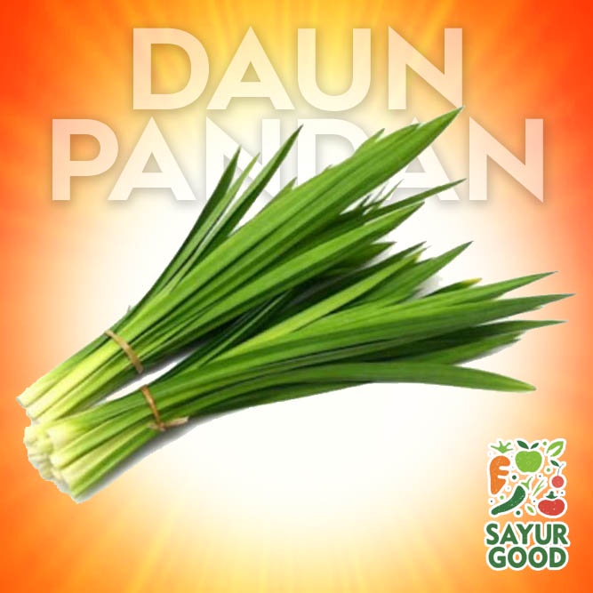 Jual Daun Pandan / Pandan / Daun Pandan Segar / Fresh / Ikat | Shopee ...