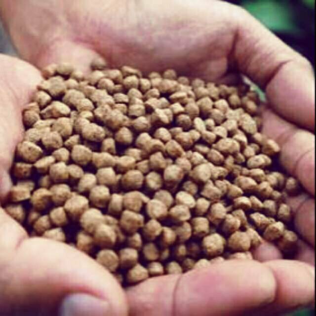 Jual Pakan Lele / Pelet Ikan air Tawar [½ kg] PF500,PF800,PF1000 ...