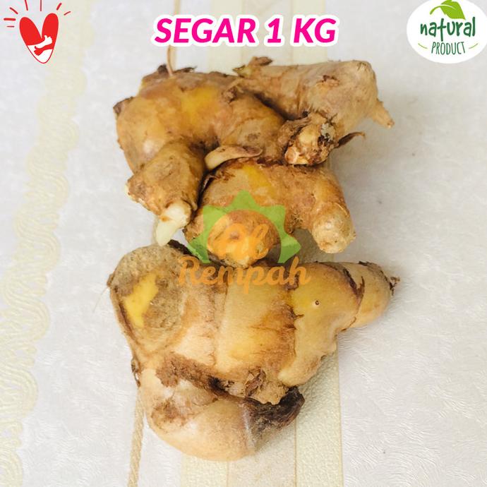 Jual >>>>>] Bangle / Bengle Segar dan Tua 1kg untuk Sawan dan Jamu ...