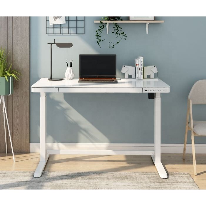 Jual Loctek Standing Electric ET118 Working Gaming Desk 2Stage + 6mm ...