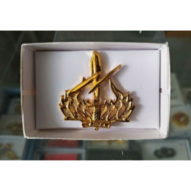 Jual Wing PDH RAIDER /Brevet pdh raider | Shopee Indonesia