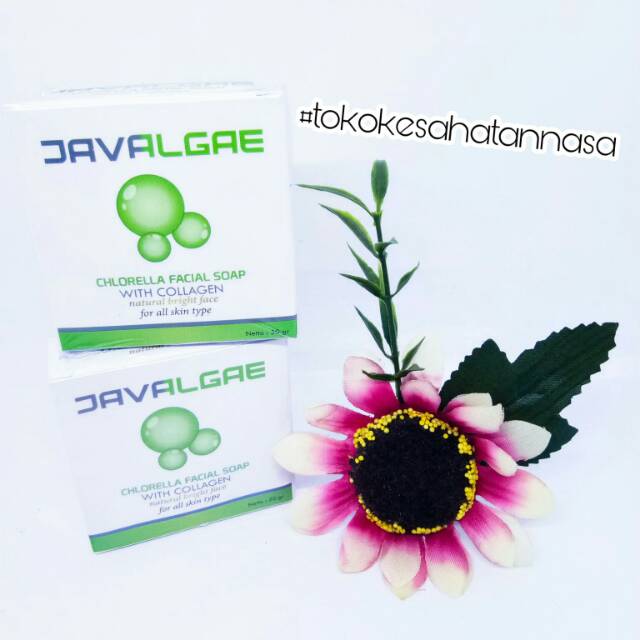 Jual Chlorella Facial Soap With Collagen NASA - Javalgae 45 gr ...