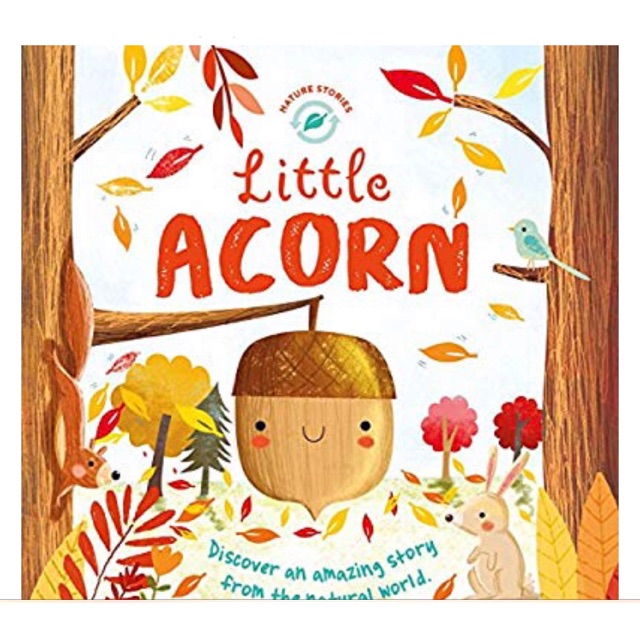 Jual Little Acorn (Board Book) | Shopee Indonesia