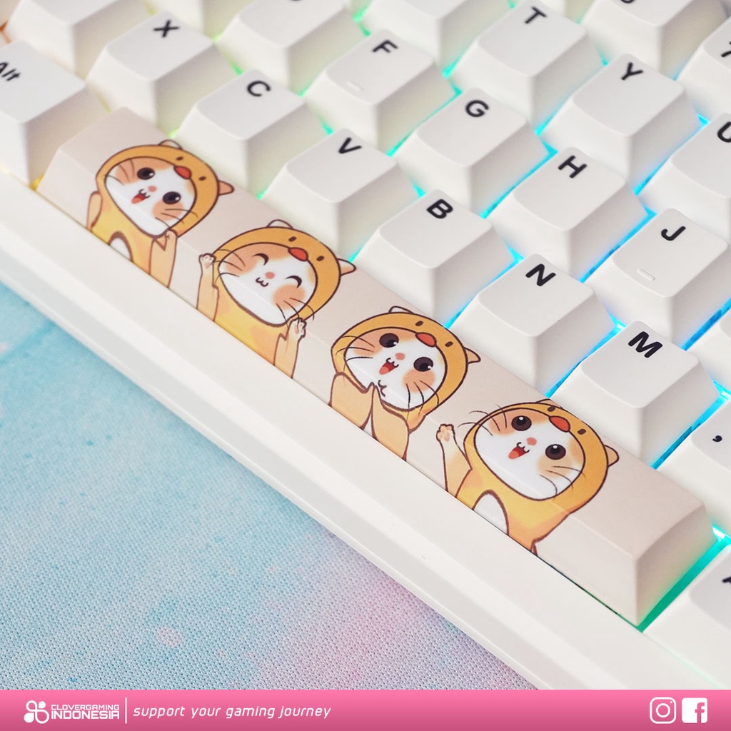 Jual Keycaps CLV Spacebar PBT Dye Sub - 6.25u Space Bar | Shopee Indonesia