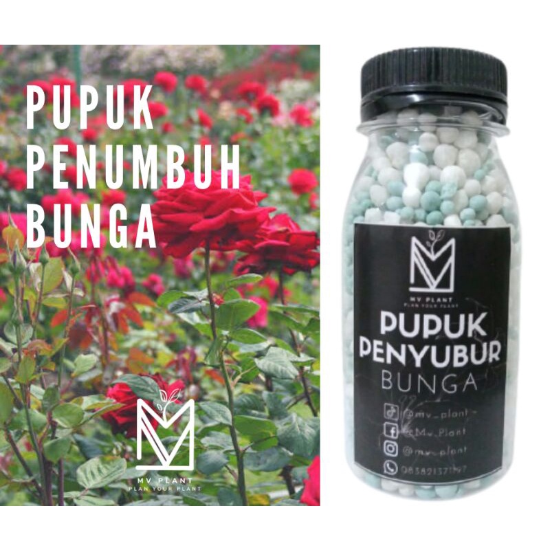 Jual Pupuk Bunga Mawar untuk Menyuburkan Bunga | Shopee Indonesia