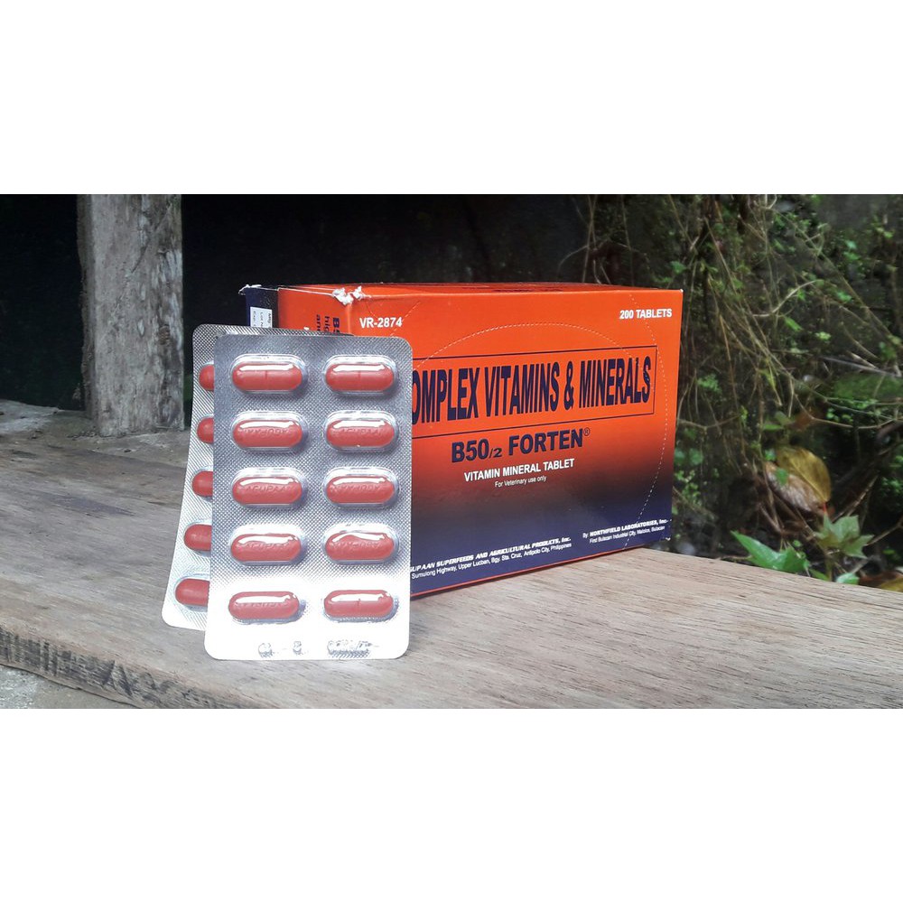 Jual B50 FORTEN. obat vitamin doping ayam aduan / STRIP ISI 10TABLET ...