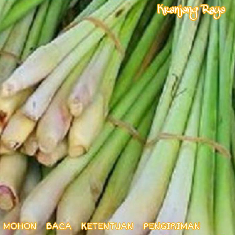 Jual Sereh | Shopee Indonesia