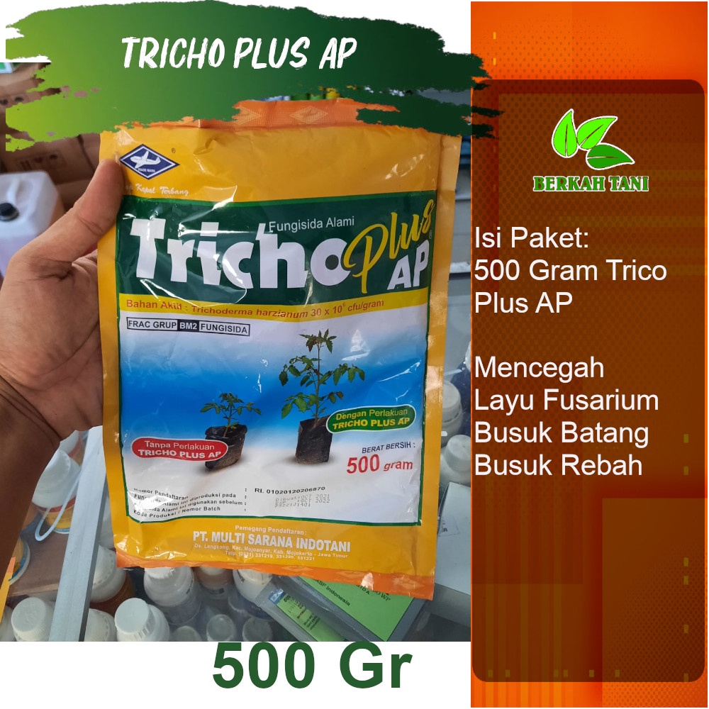 Jual Trichoplus AP 500 Gram Tricho PLus AP 500 Gram Trichoderma Anti ...