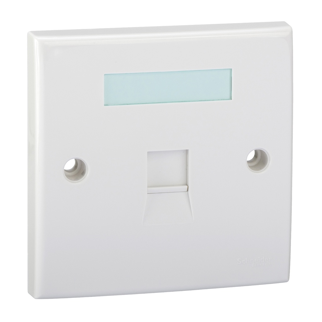 Jual SCHNEIDER CLIPSAL 1 GANG SHUTTERED KEYSTONE WALL PLATE | Shopee ...