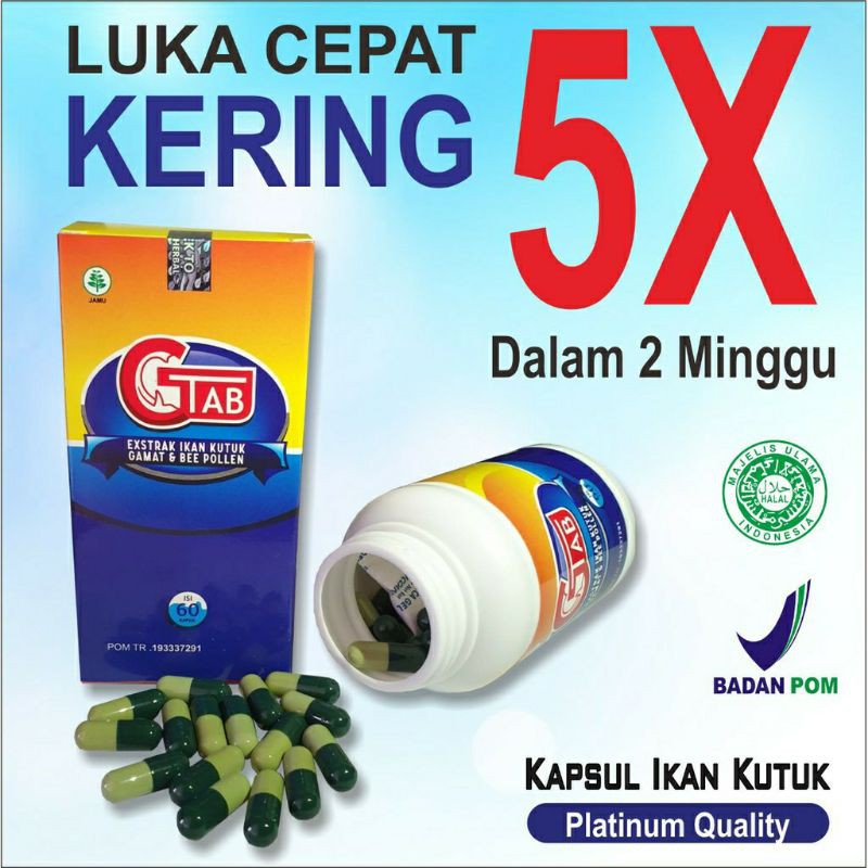 Jual G-Tab / GTab - Kapsul Ekstrak Sari Ikan Kutuk / Gabus / Albumin ...