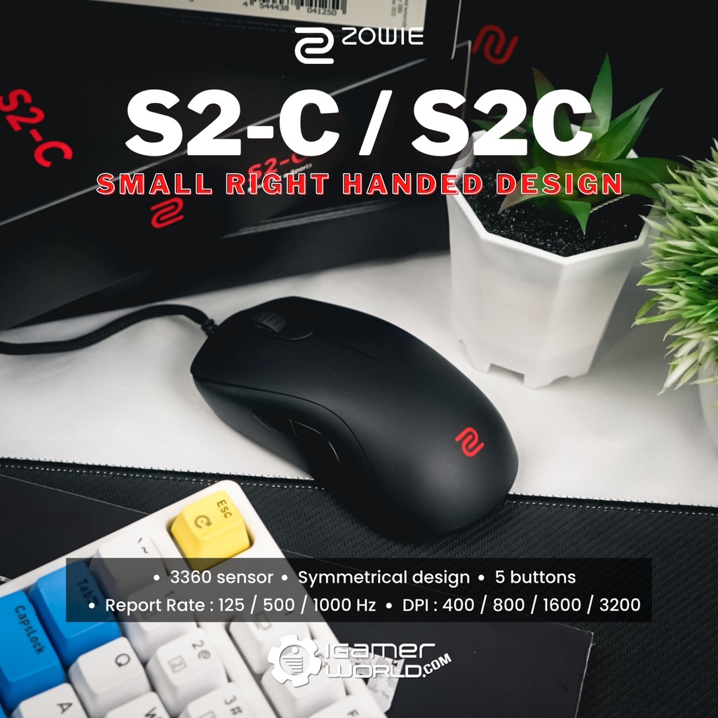 Jual Zowie S2-C / S2C Right Handed Design Gaming Mouse | Shopee Indonesia