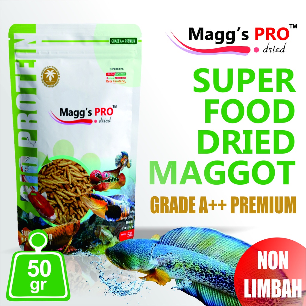 Jual Maggot Kering Magg's Pro 50gr Pakan Suplemen Ikan Predator Channa ...
