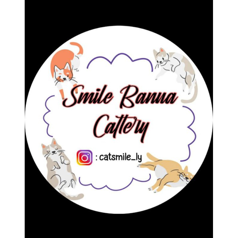 Jual keset mie bihun custom printing logo dan ukuran 100x100 | Shopee ...