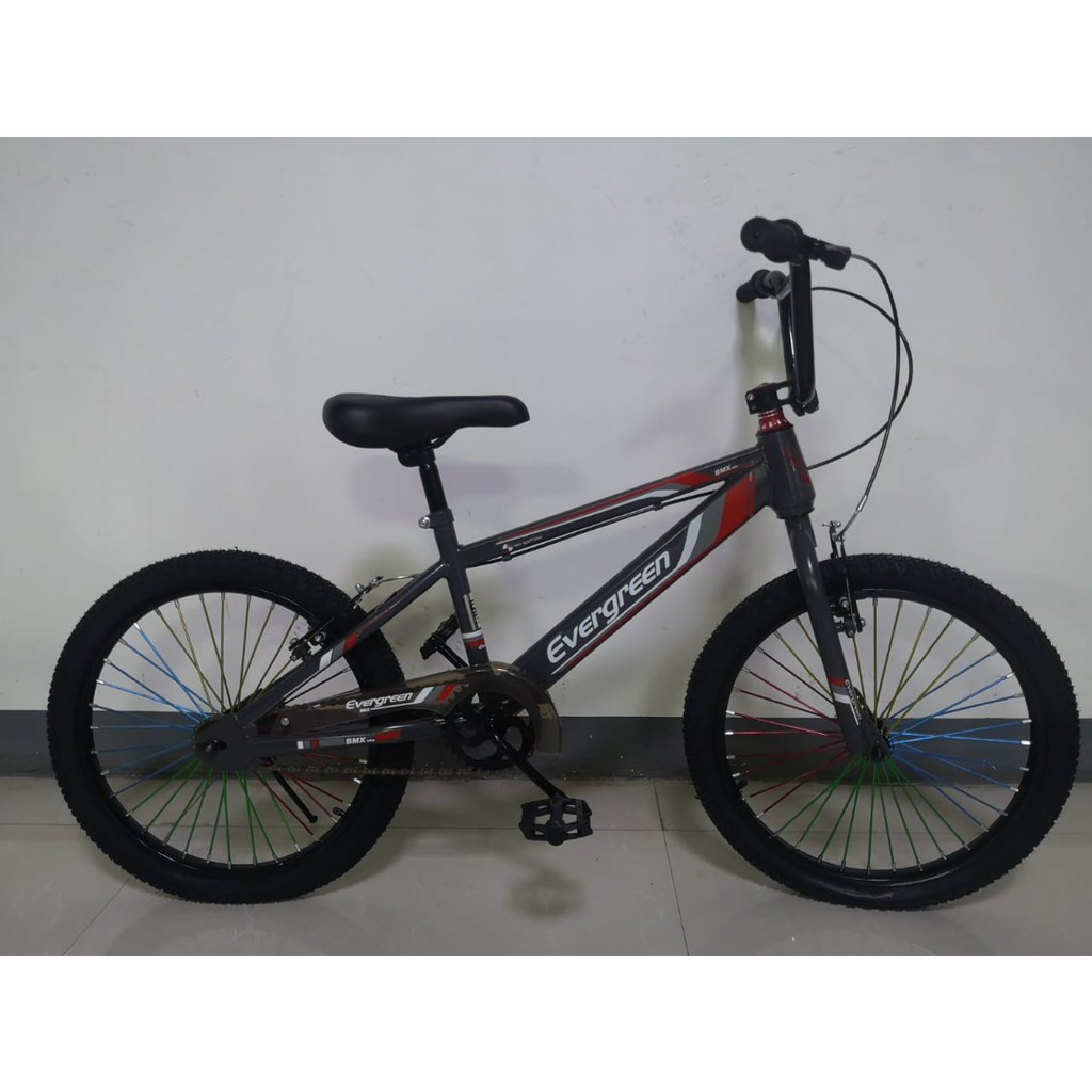 Jual Sepeda BMX Evergreen B1 Remaja-Dewasa 20 Inci Hi-Ten Steel One ...
