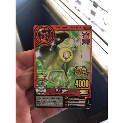 Jual Animal Kaiser Bright | Shopee Indonesia