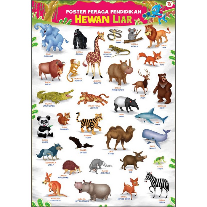 Jual POSTER PERAGA PENDIDIKAN HEWAN LIAR | Shopee Indonesia