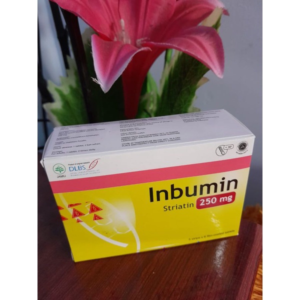 Jual PROMO!!! INBUMIN 250 mg ( isi 30 tablet)//PRODUK ORIGINAL | Shopee ...