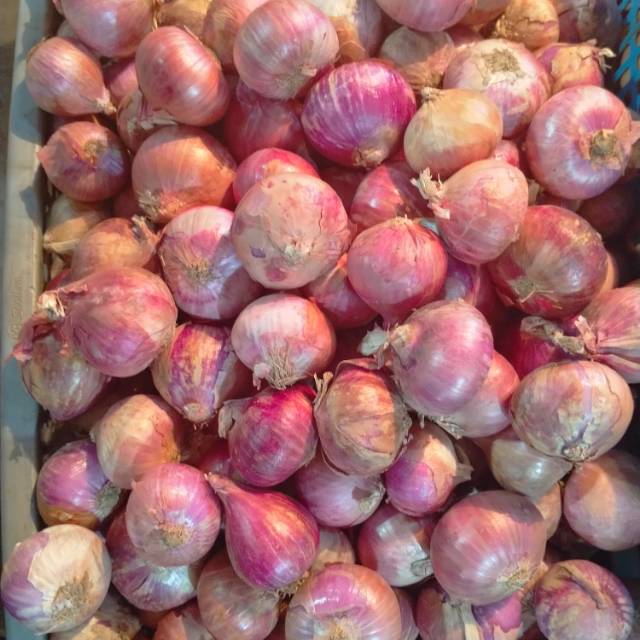 Jual Bawang merah India 1 kg | Shopee Indonesia