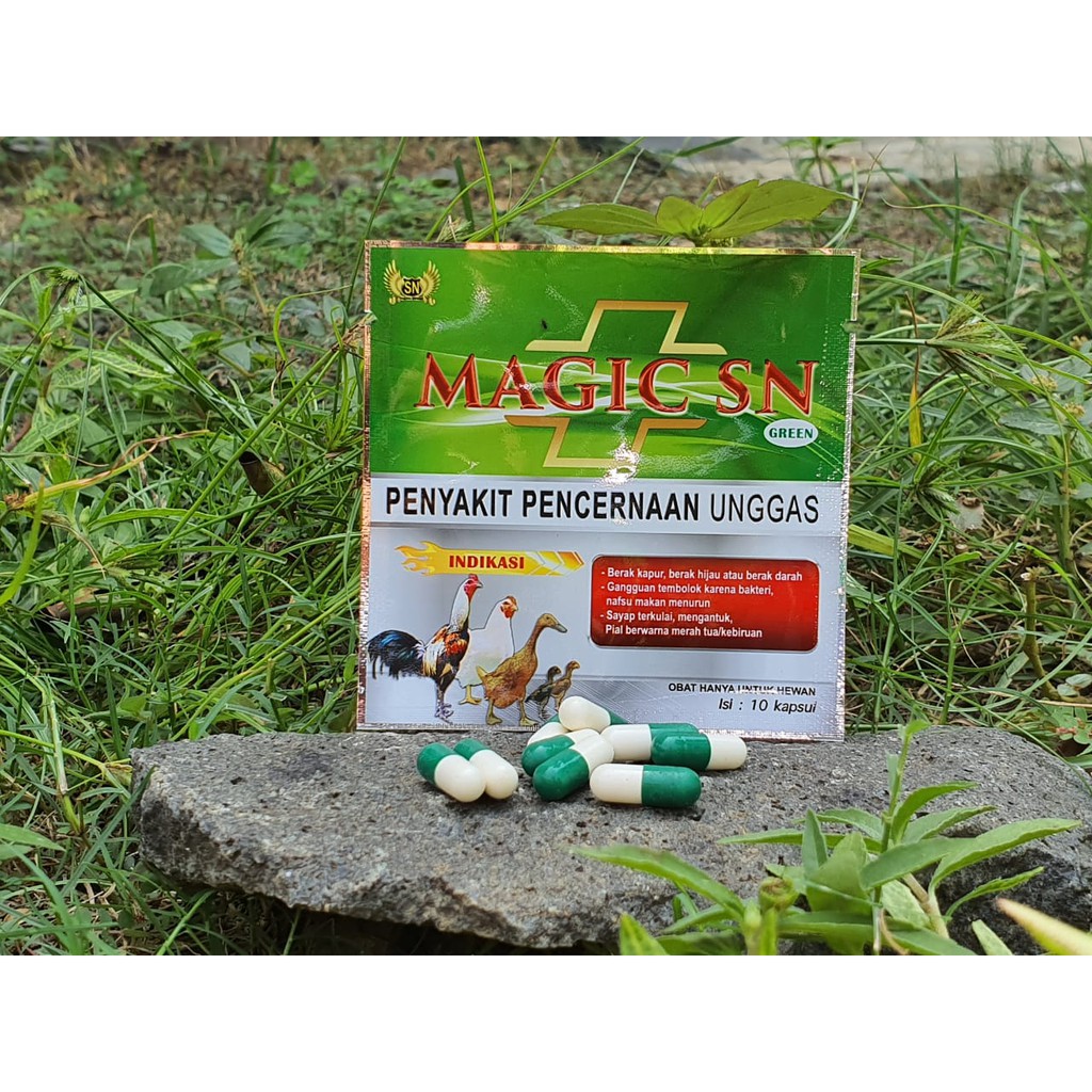 Jual MAGIC SN Untuk Mengobati Pencernaan Unggas | Shopee Indonesia