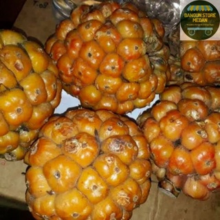 Jual BSM | TERMURAH Asam Cikala / Cekala / Patikala / Buah Kecombrang ...