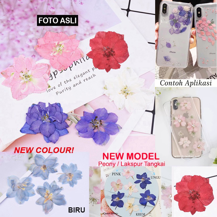 Jual Bunga Kering Peony Lakspur Dry Flower Dried Pressed Flower isi ...