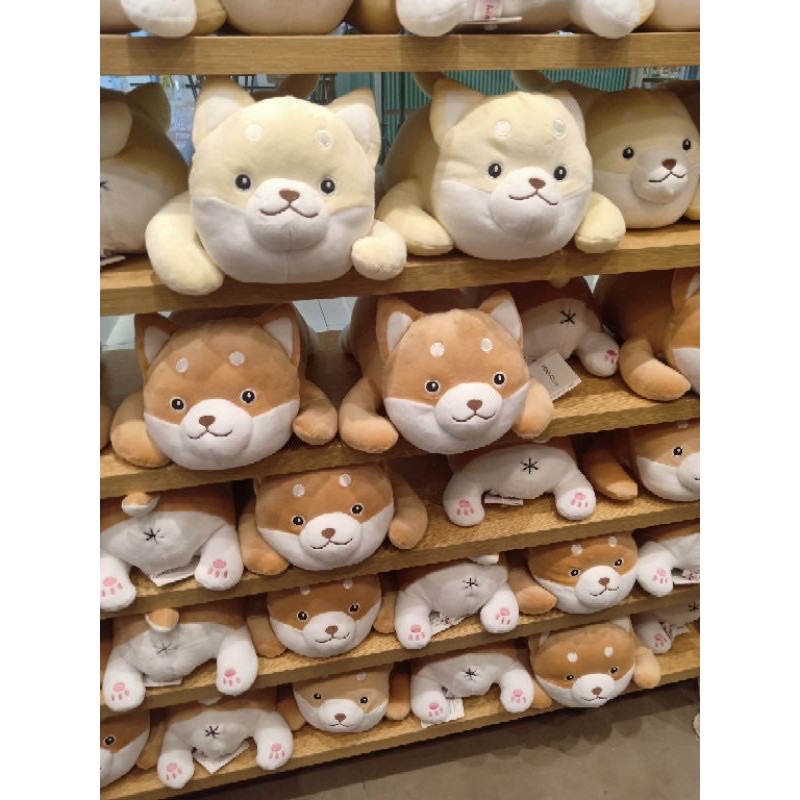 Jual LYING SHIBA SERIES PLUSH TOY MINISO BONEKA SHIBA NEW ARRIVAL ... Jual LYING SHIBA SERIES PLUSH TOY MINISO BONEKA SHIBA NEW ARRIVAL ...