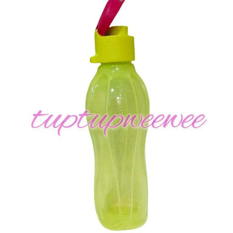 Jual tupperware eco bottle botol 500ml mickey minnie botol | Shopee ...