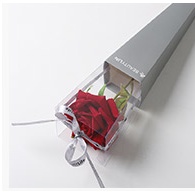 Jual Single rose box / plastik bunga satuan / kertas bunga / barang ...