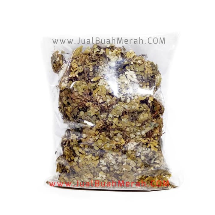 Jual Jual Rumput Kebar Papua Kesuburan Wanita Dan Pria Murah | Shopee ...