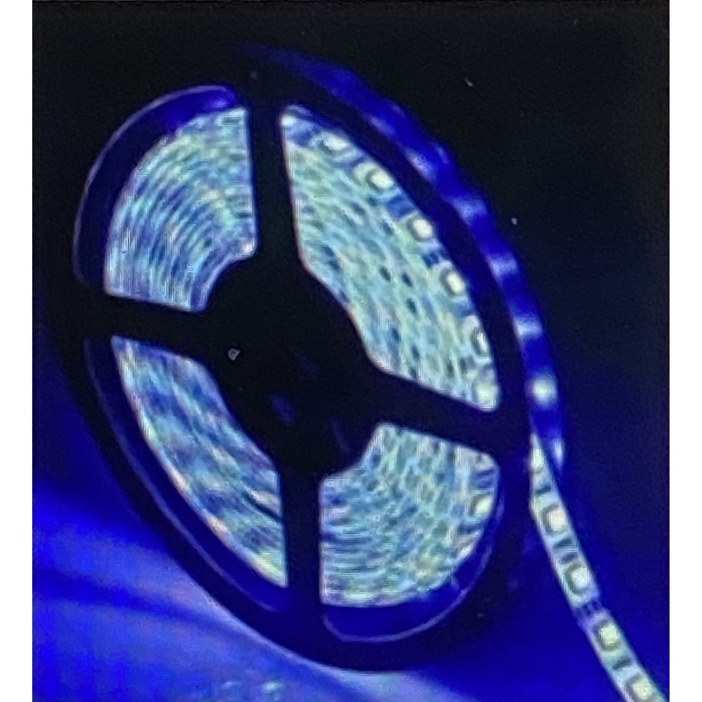 Jual LAMPU LED STRIP LIGHT MATA BESAR 5050 SMD IP33 indoor 5meter ...