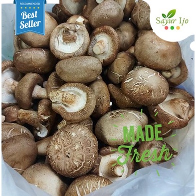 Jual Jamur Shitake 290 - 300 Gram Fresh Grade A Jamur Hioko Shiitake ...