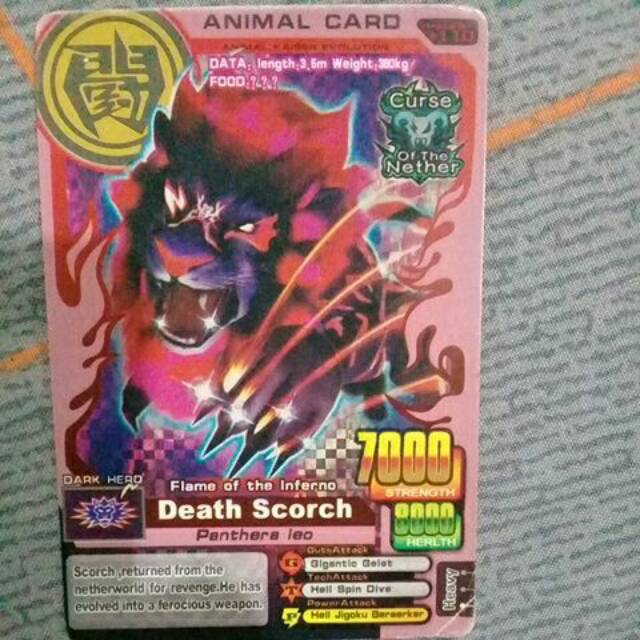 Jual Animal kaiser card | Shopee Indonesia