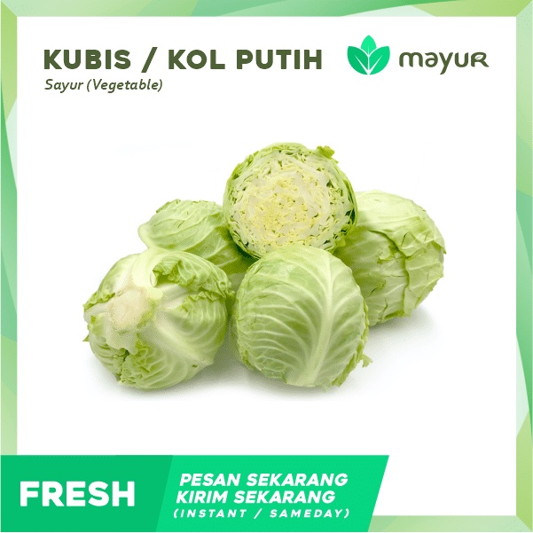 Jual Kol Putih 1 Pcs | Shopee Indonesia