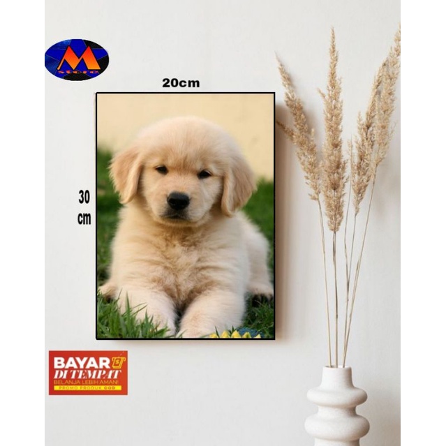 Jual HIASAN DINDING TEMA ANJING LUCU/POSTER KAYU GAMBAR ANJING LUCU ...