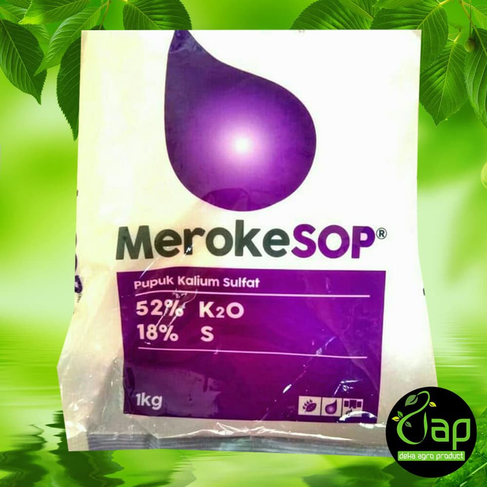 Jual PUPUK MEROKE SOP 1KG PUPUK KALIUM SULFAT MEROKESOP 1 kg | Shopee ...