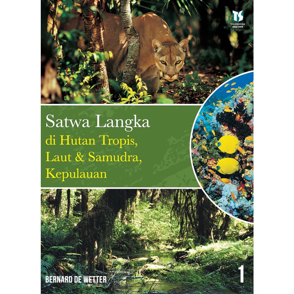 Jual Satwa Langka di Hutan Tropis, Laut & Samudra, Kepulauan | Shopee Indonesia
