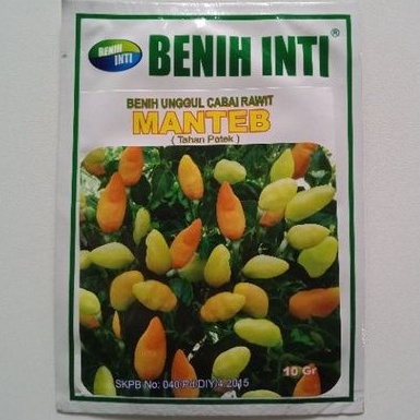 Jual MANTEB Benih Inti Bibit Unggul Cabe Rawit Prentul Putih isi 10 ...