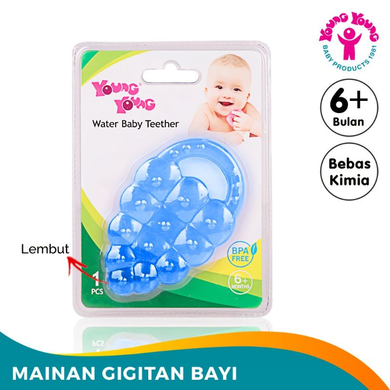 Jual YOUNG YOUNG Mainan Gigitan Bayi Anggur Bebas Bahan Kimia Water ...