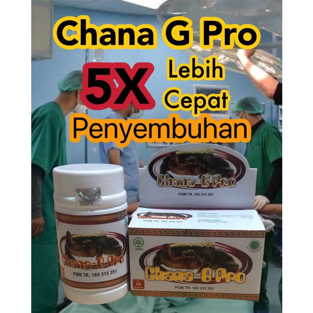 Jual CHANA G PRO 500MG ( ALBUMIN / IKAN GABUS & IKAN KUTUK ) | Shopee ...
