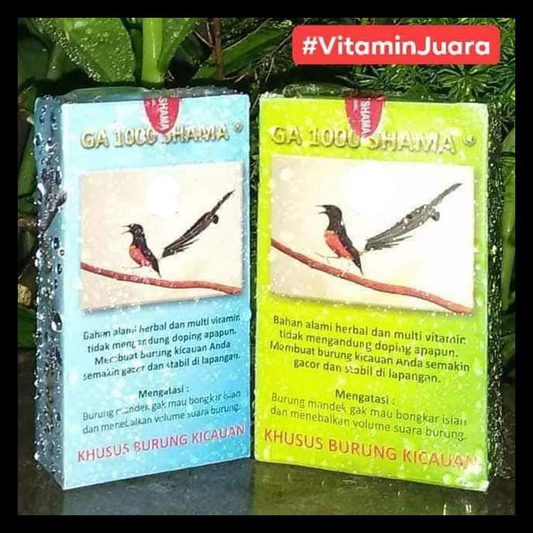 Jual GA 1000 SHAMA - UKURAN MINIMALIS KODE 692 | Shopee Indonesia