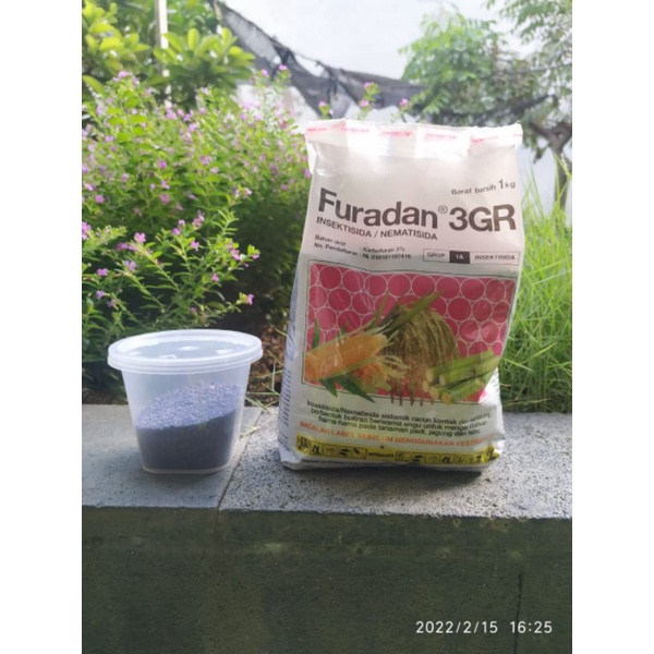 Jual Furadan 3gr kemasan 100 gram (repack) | Shopee Indonesia
