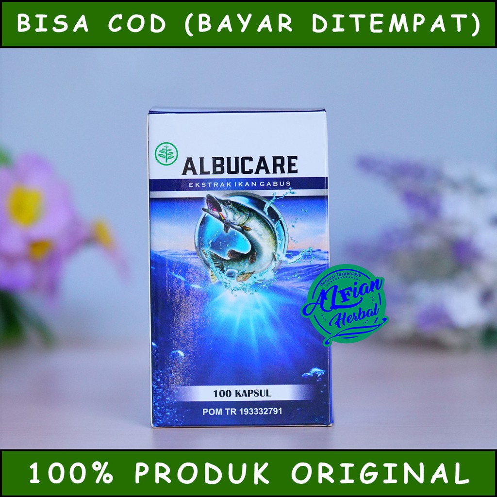 Jual Obat ALBUCARE Kapsul Ekstrak Ikan Gabus Original 100% Asli ...
