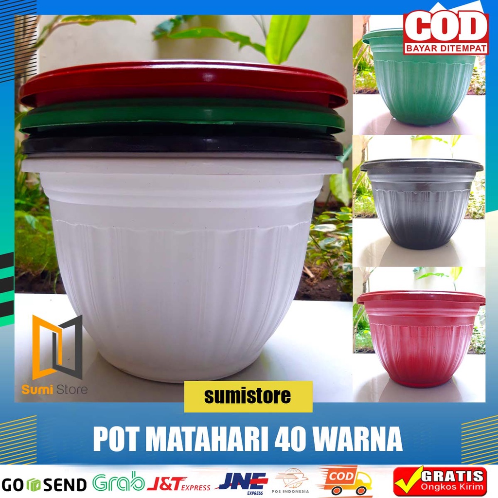 Jual Pot Matahari 40 Panda Star / Pot Bunga / Pot Tanaman / Pot tawon ...